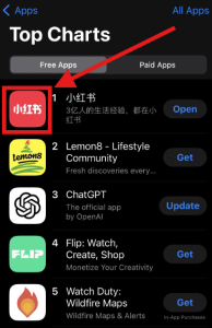 Trending TikTok Alternatives: Rednote Tutorial, Lemon8, etc