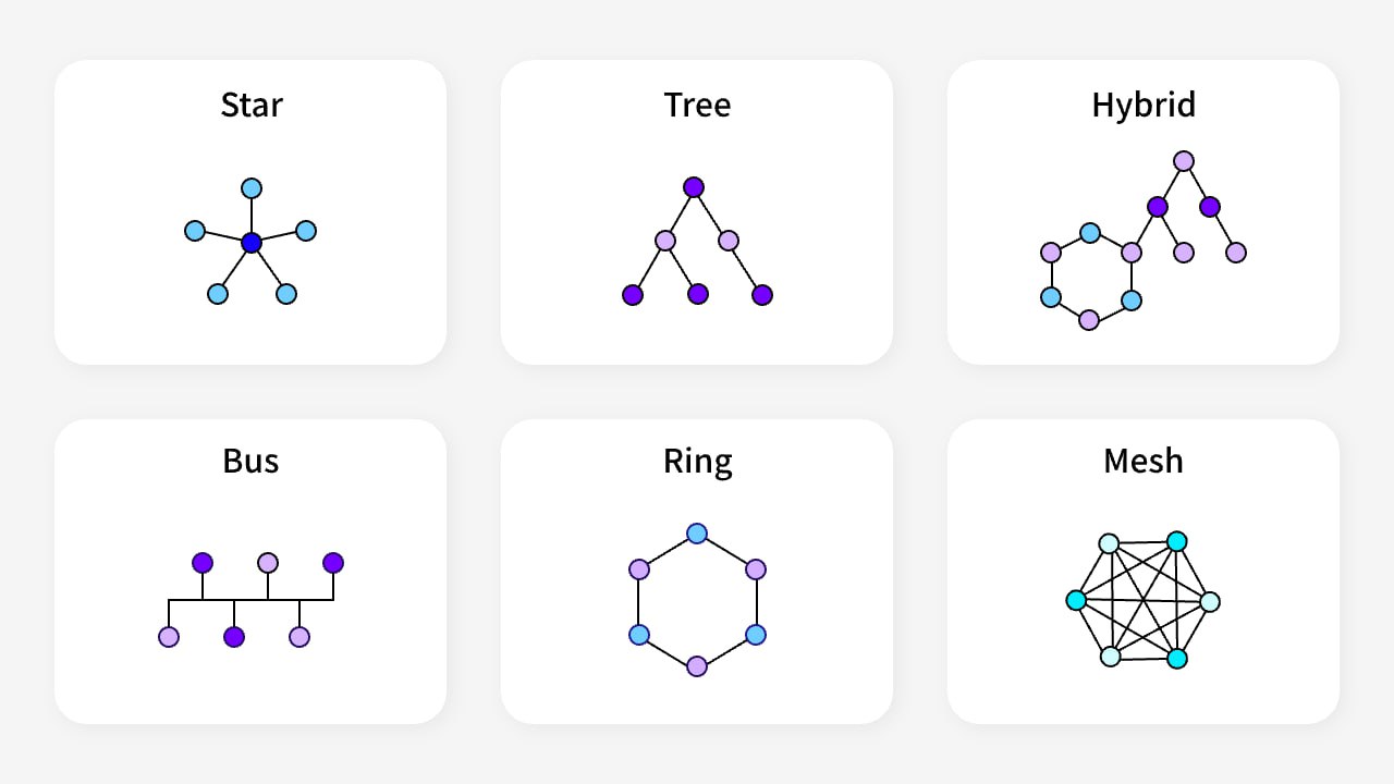 Network Topology: A Complete Guide for Beginners