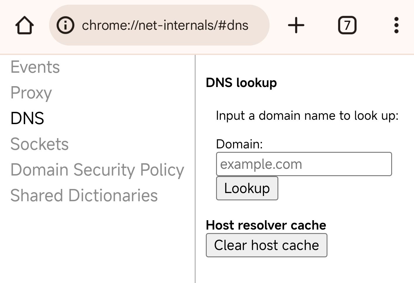 How to See and Delete Incognito History? [2025 Guide]