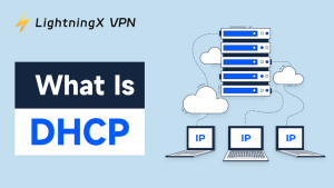 What Is DHCP and How It Works: Complete Beginner Guide